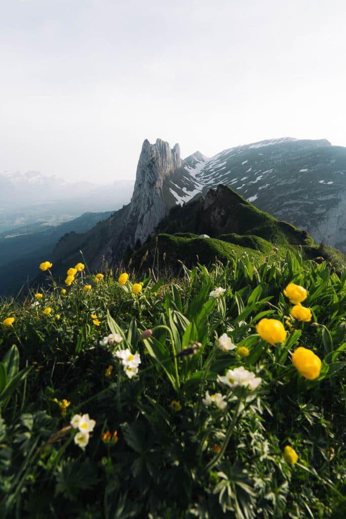 Saxer Lücke and Fälensee Hike From Brülisau: Ultimate Guide