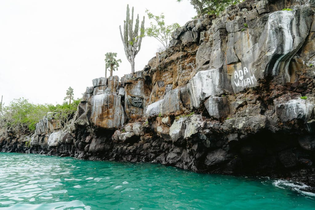Bay Tour in Santa Cruz, Galapagos: Half-Day Tour