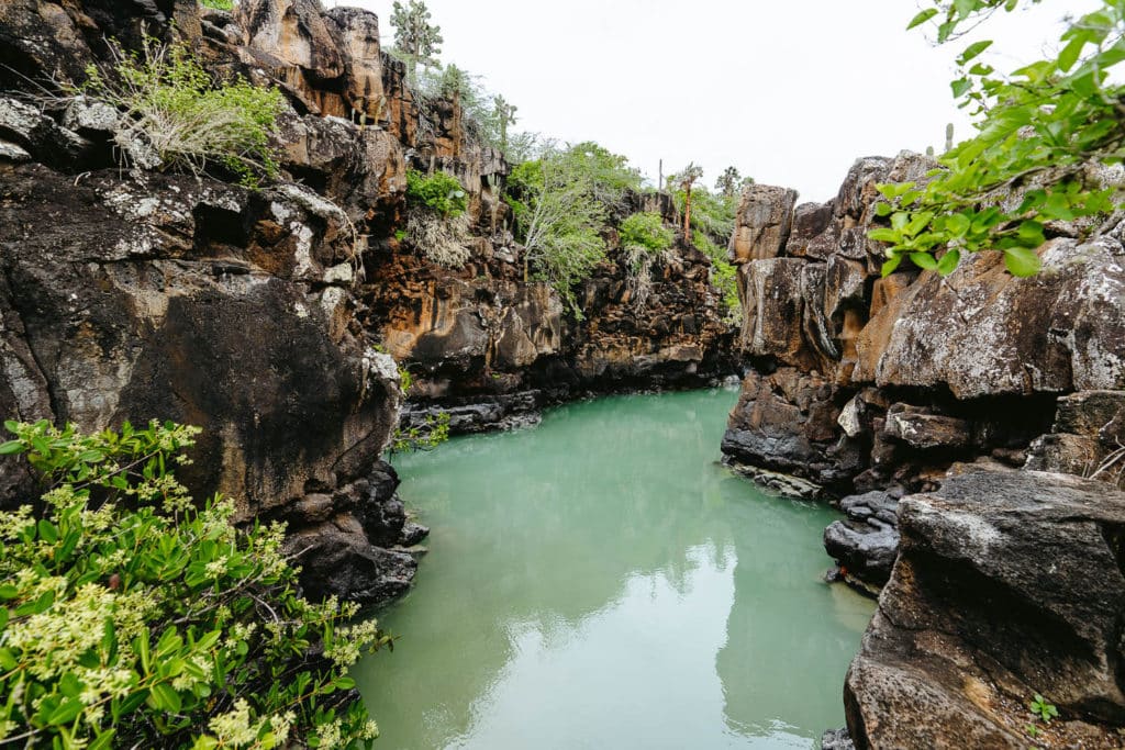 35 Awesome Things To Do in Santa Cruz, Galapagos: All Activities