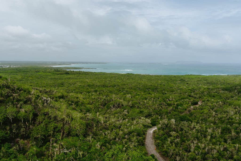 Wall of Tears in Isabela, Galapagos: Bicycle Ride