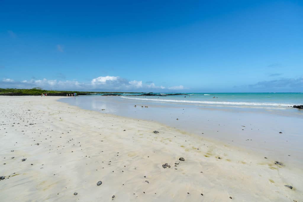 Garrapatero Beach in Santa Cruz, Galapagos: How to Get There