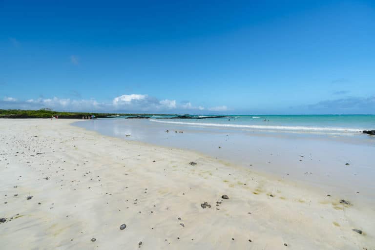 Garrapatero Beach in Santa Cruz, Galapagos: How to Get There