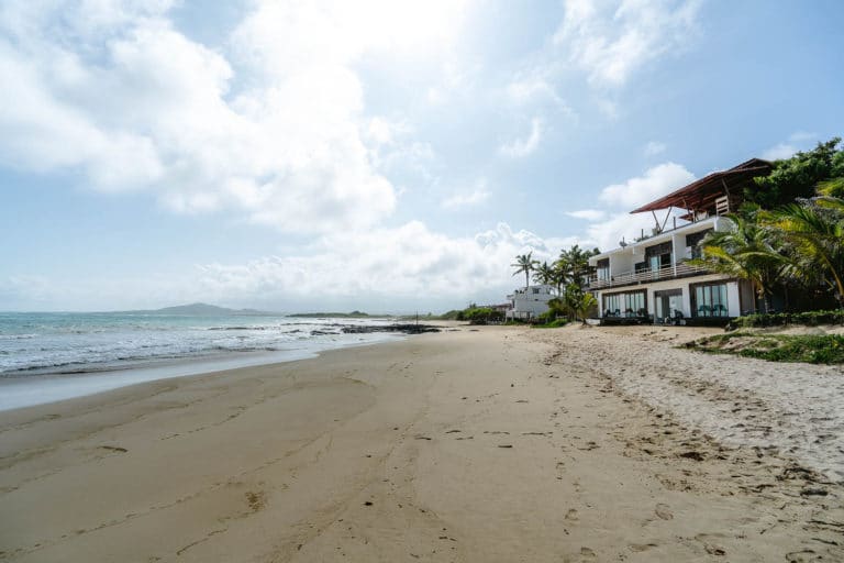 3 Best Beaches in Isabela, Galapagos: Where to Go?