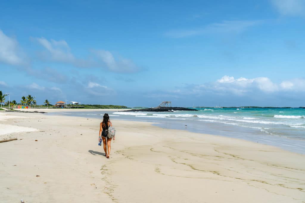3 Best Beaches in Isabela, Galapagos: Where to Go?