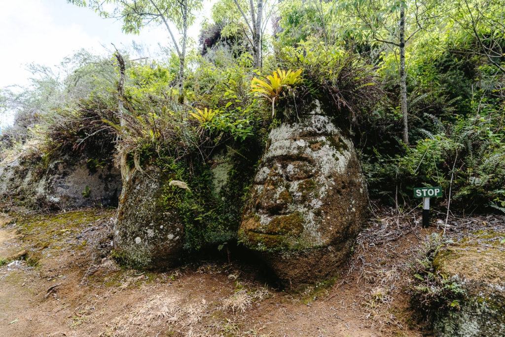 Floreana Island Tour: Full-Day Tour (From Santa Cruz Island)