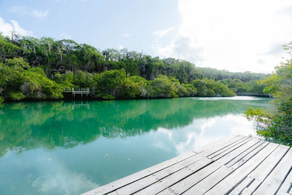 Nymphs Lagoon in Santa Cruz, Galapagos: All You Need to Know