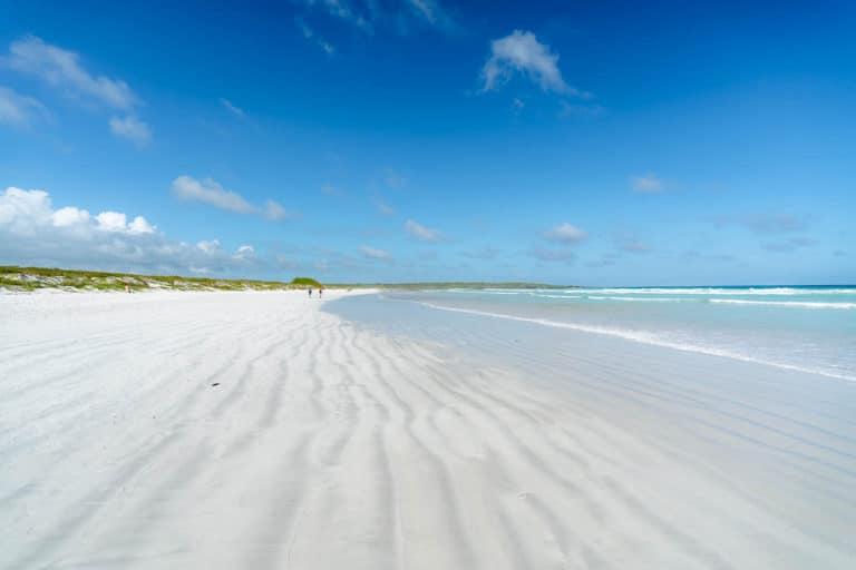 Tortuga Bay Beach in Santa Cruz, Galapagos: Full Breakdown