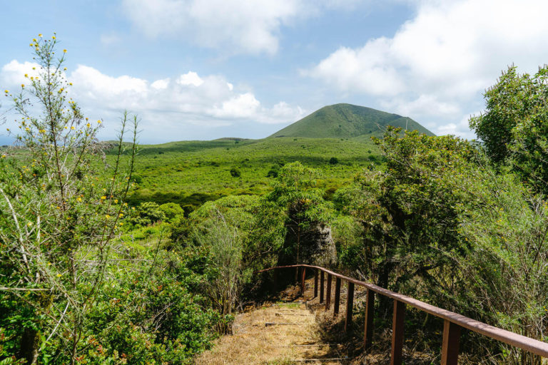 FLOREANA ISLAND TOUR | FULL DAY TOUR
