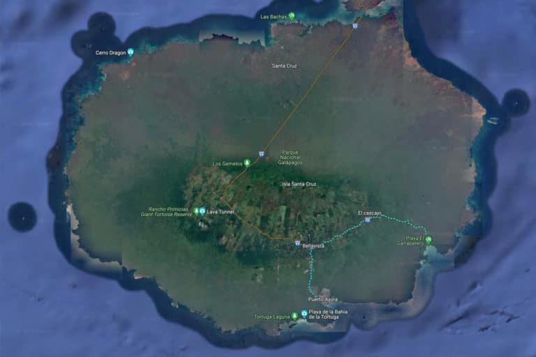 Garrapatero Beach in Santa Cruz, Galapagos: How to Get There