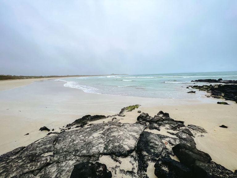11 Free Things To Do in Isabela, Galapagos: Explore on Your Own