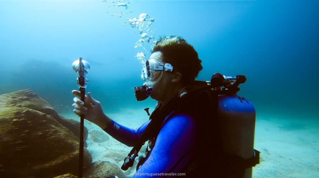 Diving in North Seymour and Mosquera: Santa Cruz Dive Sites