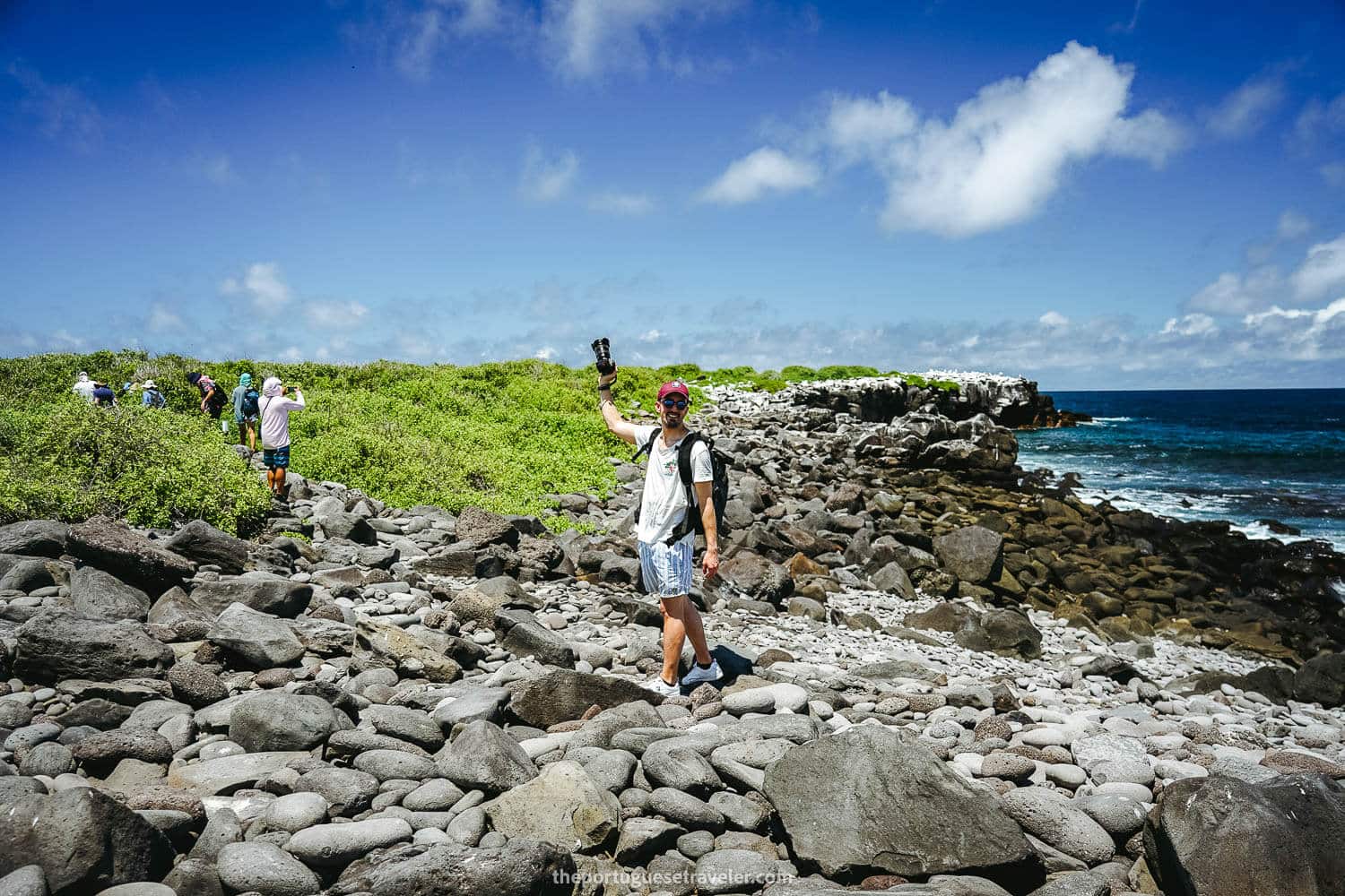 Best Time to Visit the Galapagos Islands (Month-by-Month)