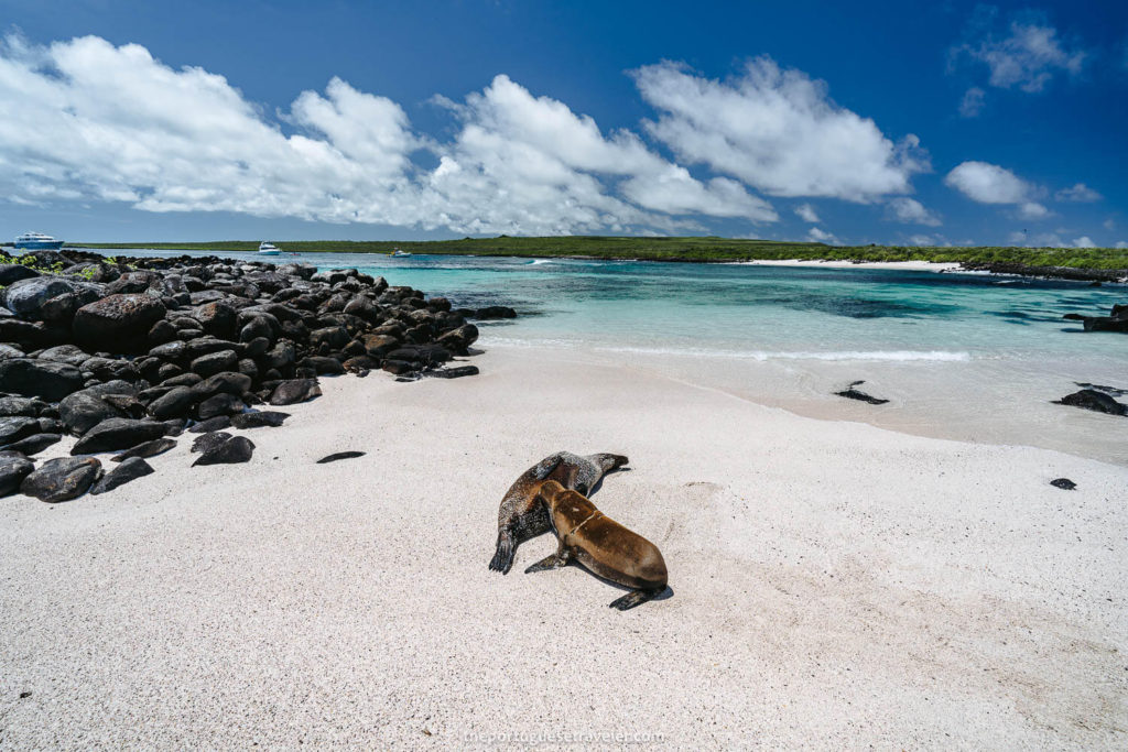 Espanola Island Tour: Full-Day Tour (From San Cristobal Island)
