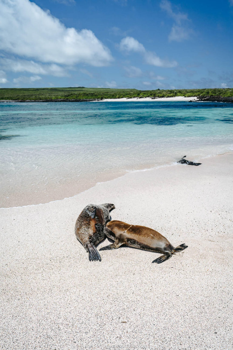 Espanola Island Tour: Full-Day Tour (From San Cristobal Island)